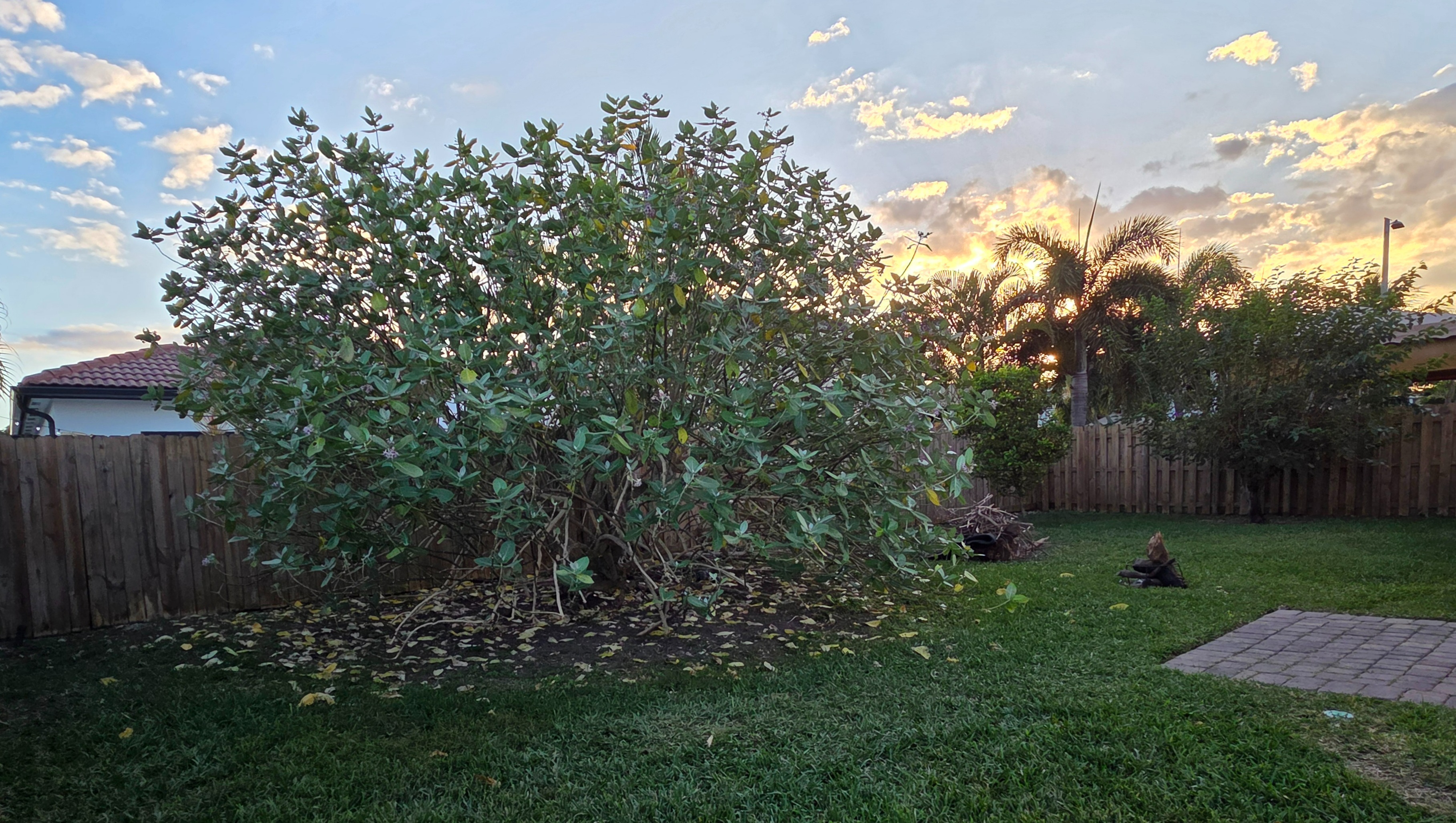 Glory aka Mama G’s GoFundMe Profile